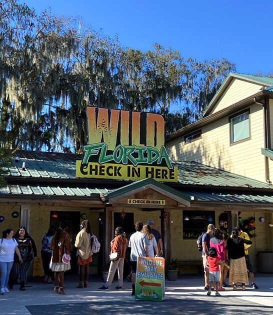 florida drive thru safari ftr