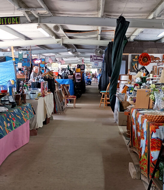 florida flea market big ftr