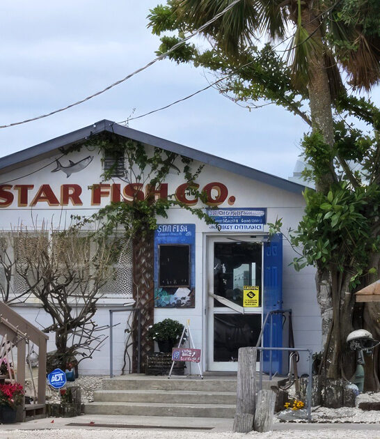 florida fried seafood stop ftr