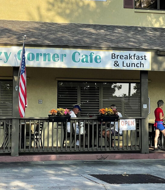 florida fried steak cafe ftr