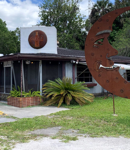 florida gator tail restaurant ftr