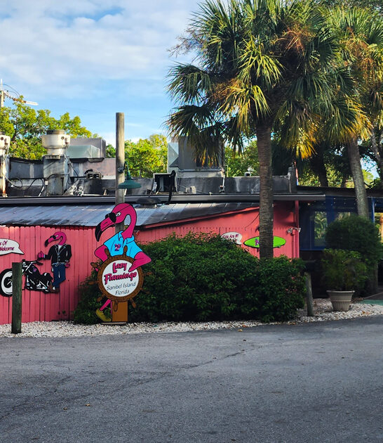 florida known conch fritters ftr