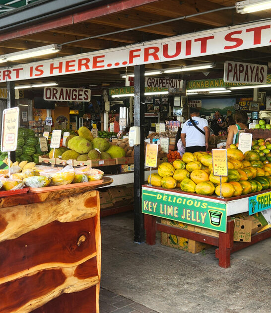 florida milkshake smoothie haven ftr