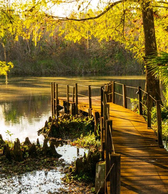 florida peaceful state park ftr