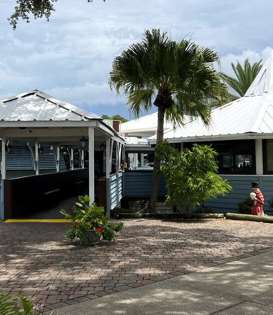 florida popular conch fritters ftr