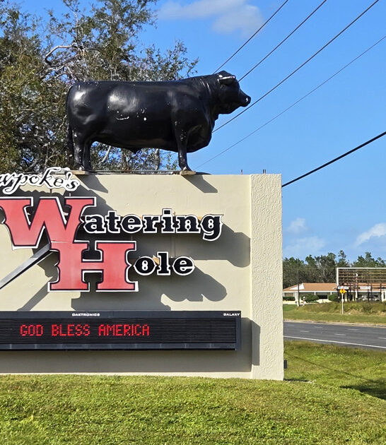 florida pork osso bucco ftr