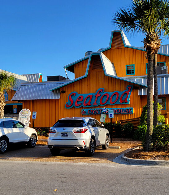 florida restaurant chicken sandwich ftr