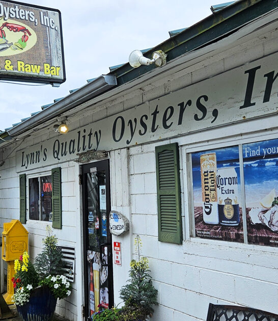 florida restaurant good oysters ftr