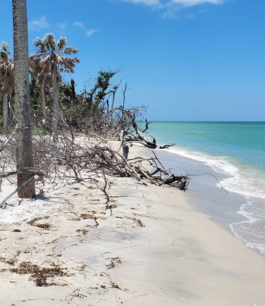 florida scenic beach hideaways ftr
