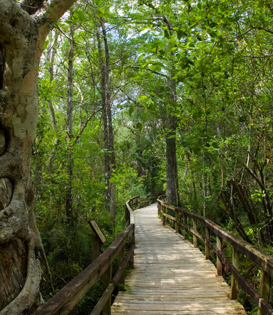 florida scenic park escape ftr