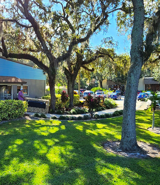 florida secondhand shop enormous ftr