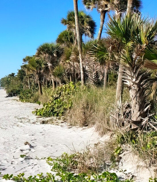 florida secret beach gems ftr