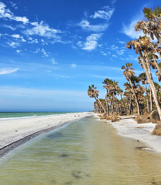 florida secret hiking paradise ftr