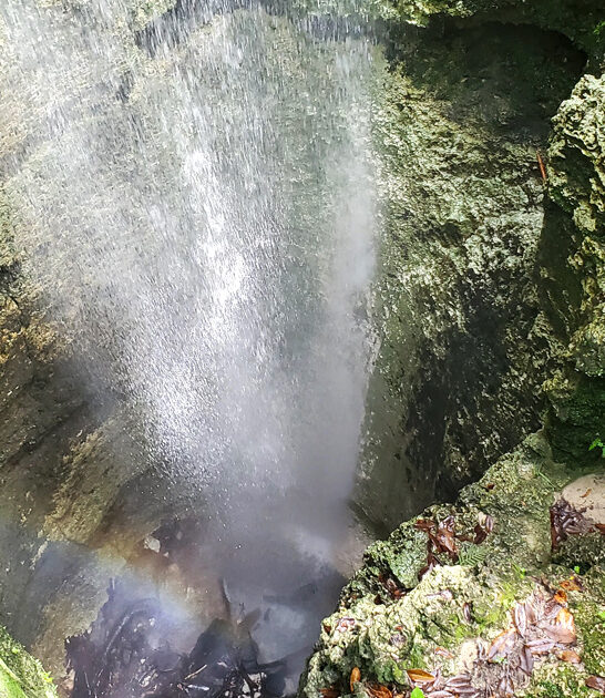 florida state park worth ftr