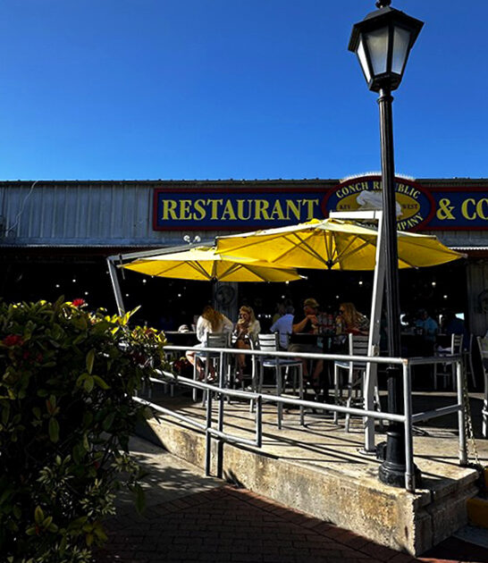 florida tasty conch fritters ftr