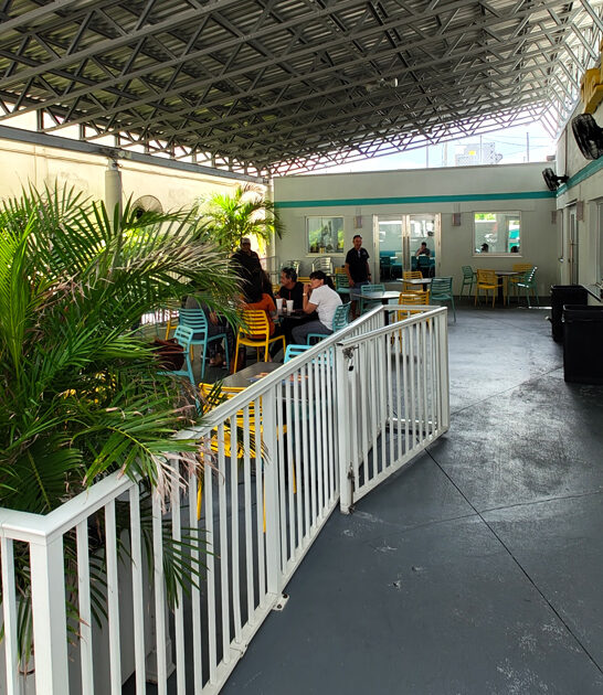 florida tasty french fries ftr