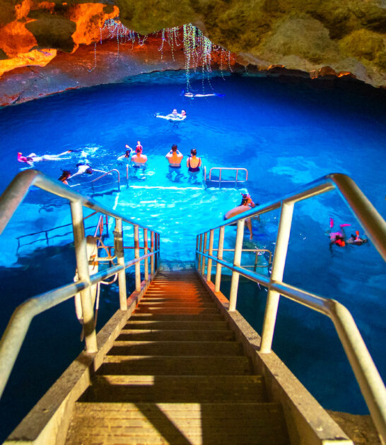 florida underground spring dream ftr