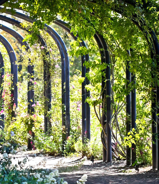 flower garden california blooms ftr