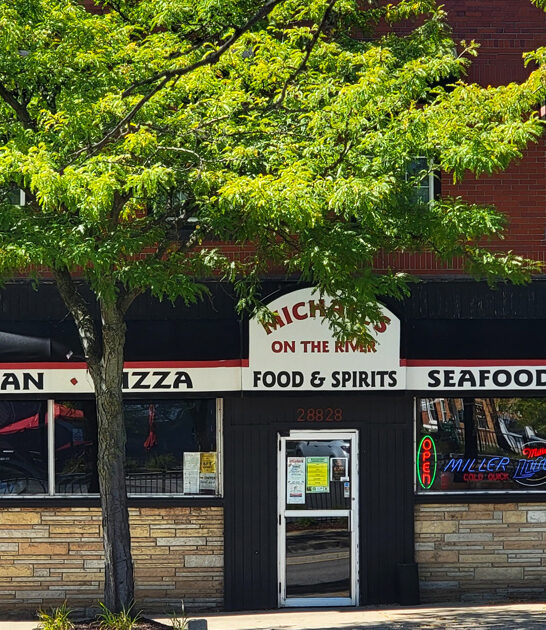 french onion soup michigan ftr