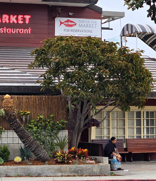 fresh seafood california restaurant ftr