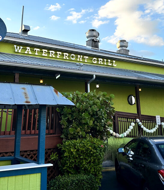 fried florida shrimp ftr