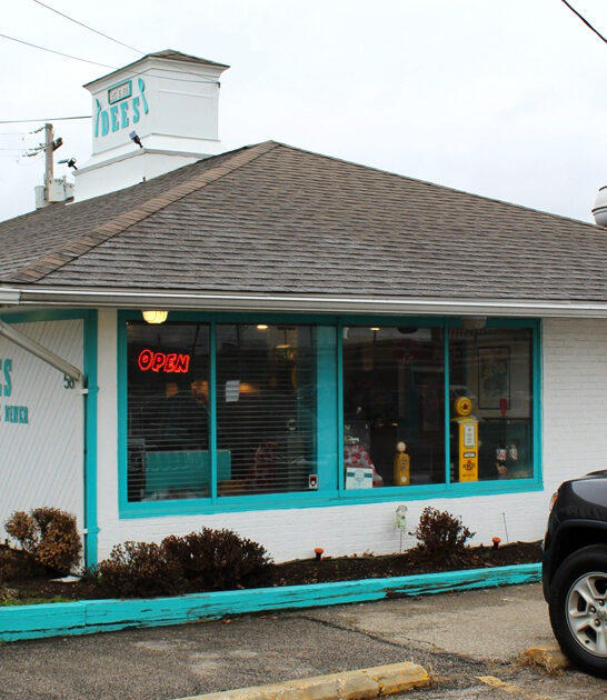 fried steak ohio diner ftr