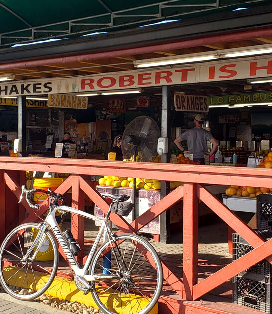 fruit milkshakes florida shack ftr