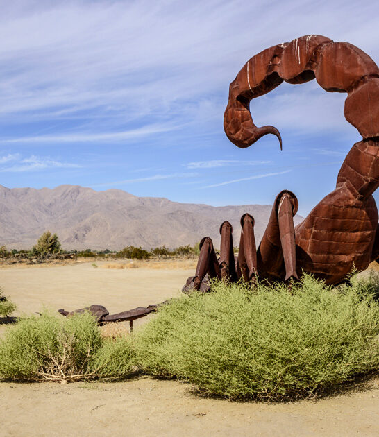 funky desert california sculptures ftr