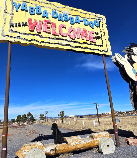 funky roadside attraction arizona ftr