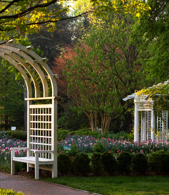 garden virginia fairytale world ftr