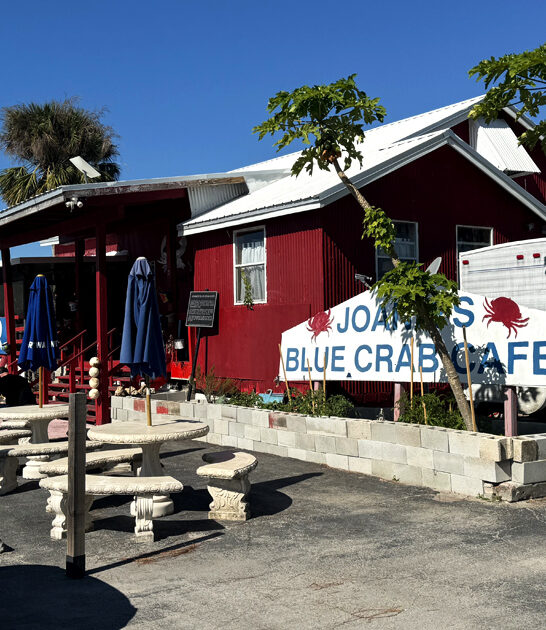 gator bites cafe florida ftr