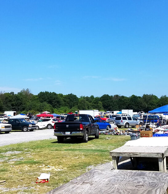 georgia bargains good flea ftr