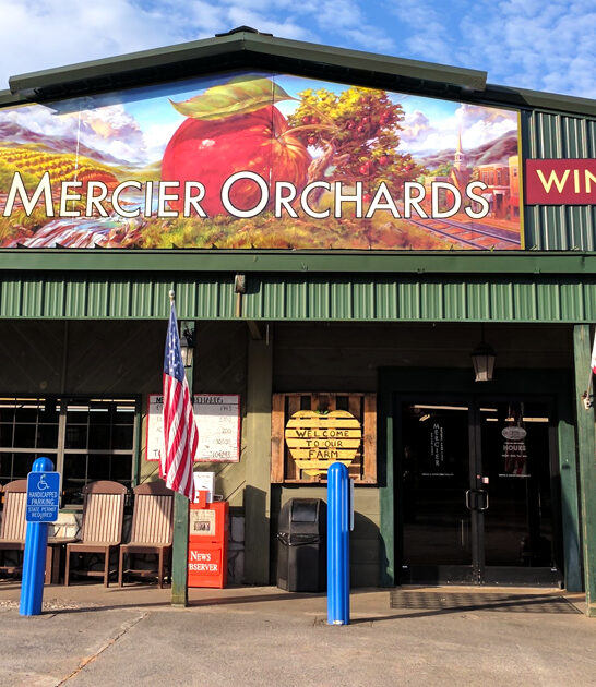 georgia best baked goods ftr