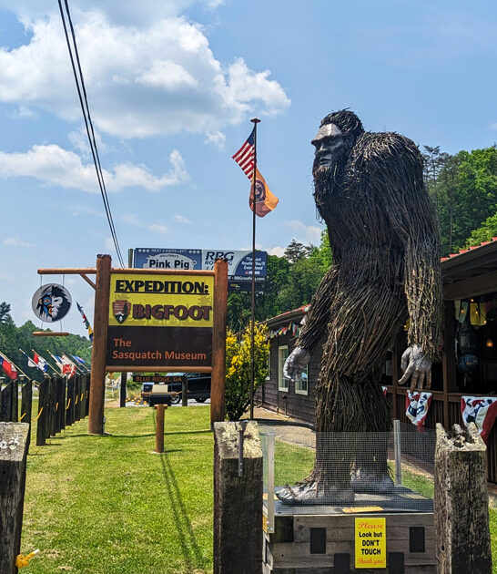 georgia bigfoot museum attractions ftr