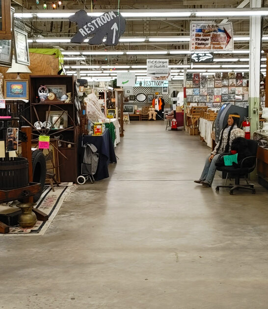 georgia explore flea market ftr