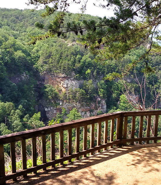 georgia landscape park beauty ftr