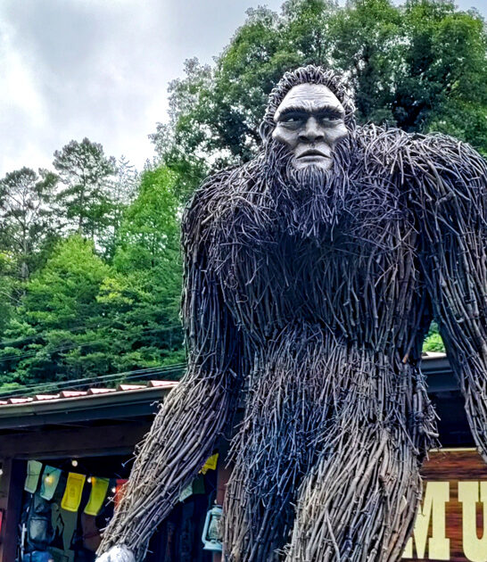 georgia museum bigfoot exhibits ftr