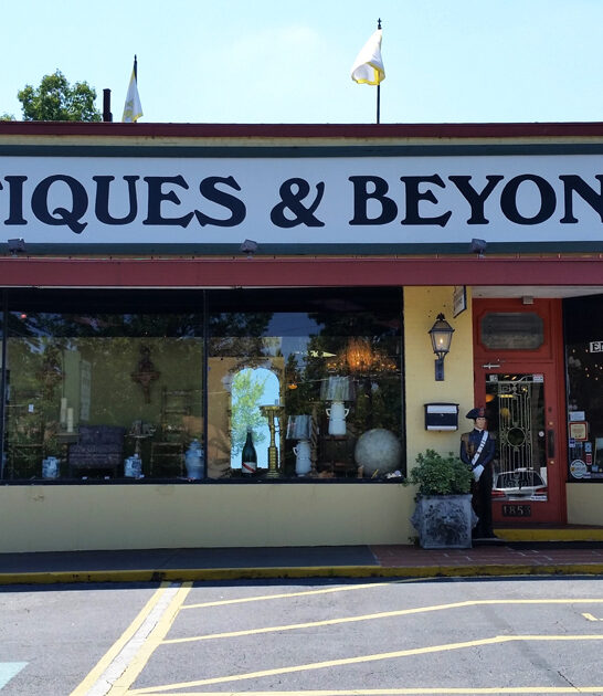 georgia rare antique store ftr