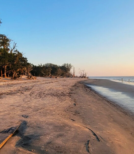 georgia real beautiful beach ftr