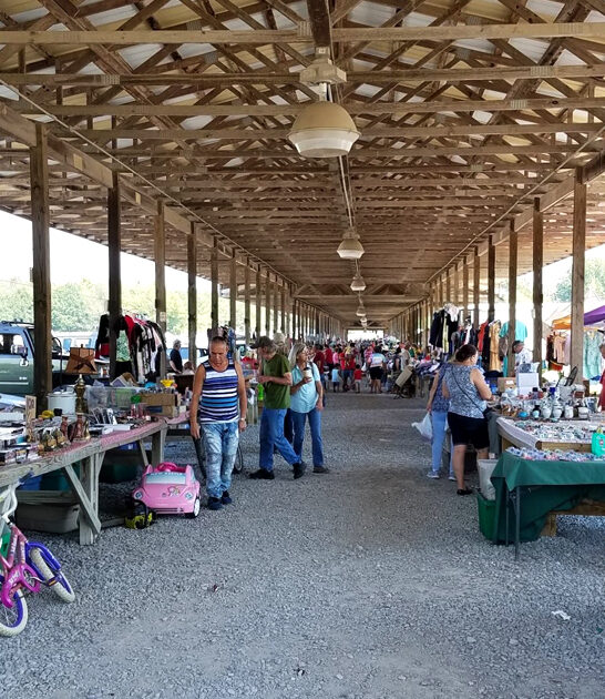 georgia unbeatable deals market ftr