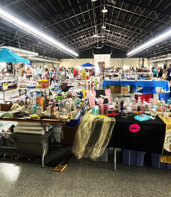 giant flea market illinois ftr