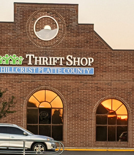 giant thrift store missouri ftr
