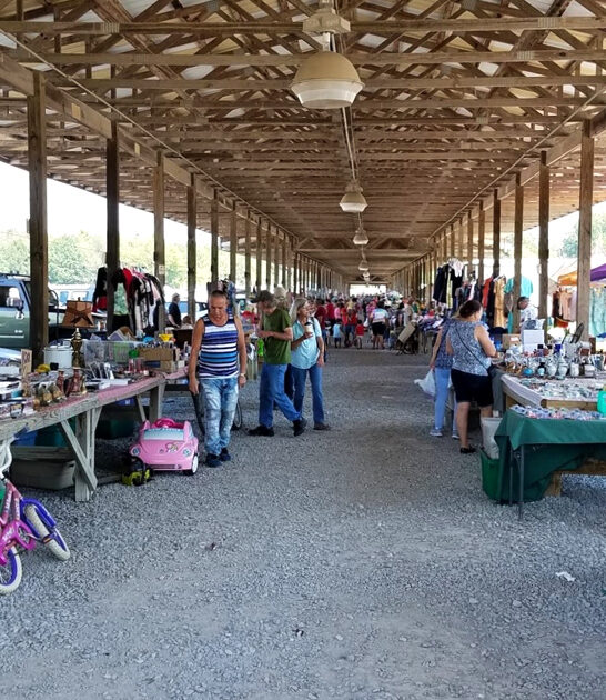 gigantic flea market georgia ftr