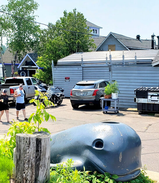 good cheese curds wisconsin ftr