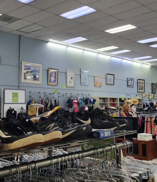 good thrift store california ftr