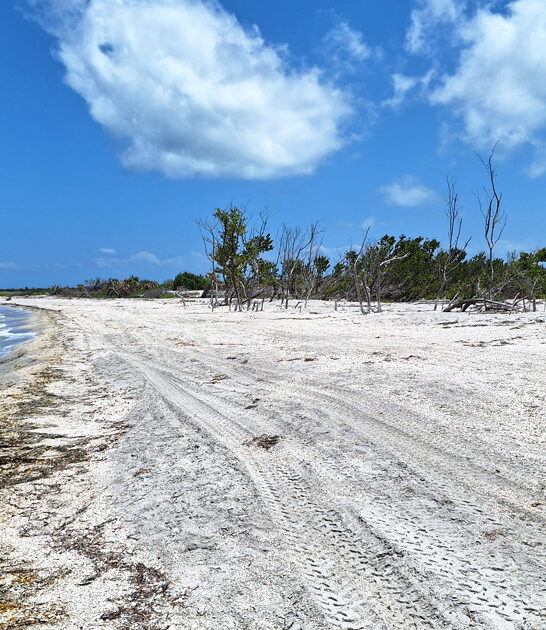 gorgeous beaches florida discovered ftr