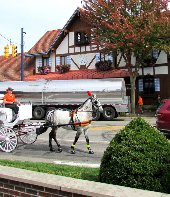 gorgeous towns michigan hallmark ftr