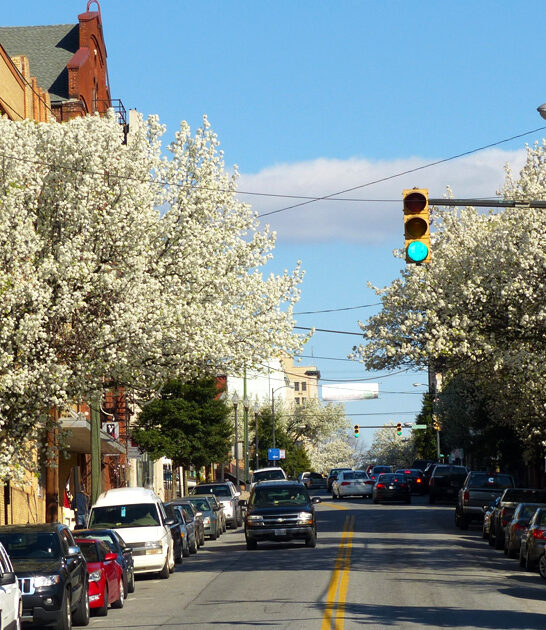 gorgeous towns virginia live ftr