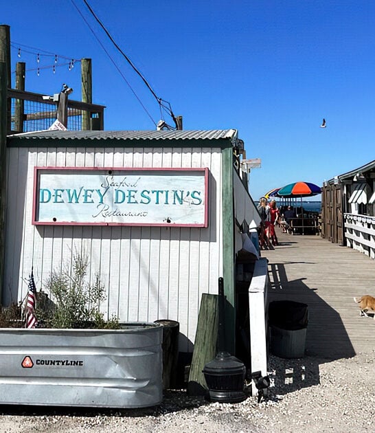 grilled triple tail florida ftr