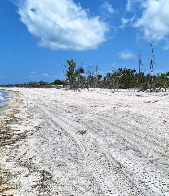 hidden florida beaches paradise ftr